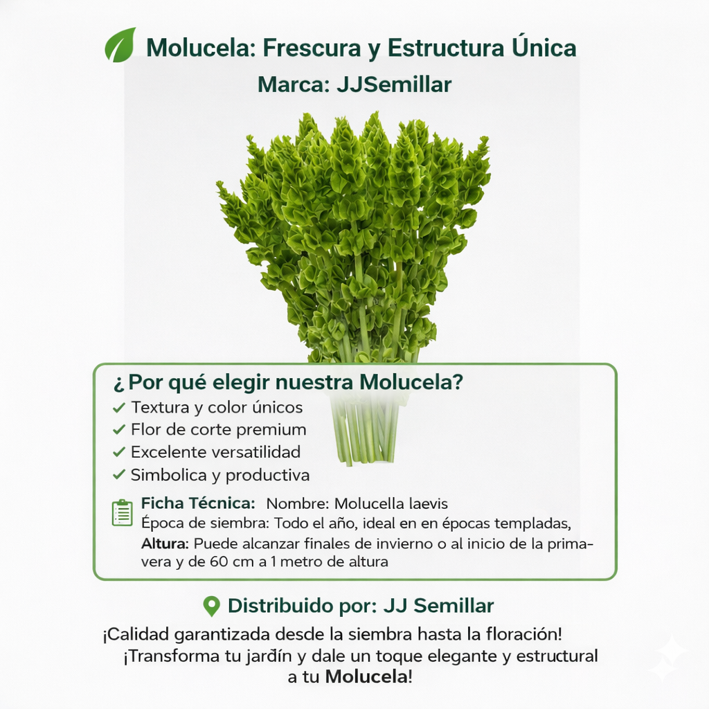 Semillas de molucela